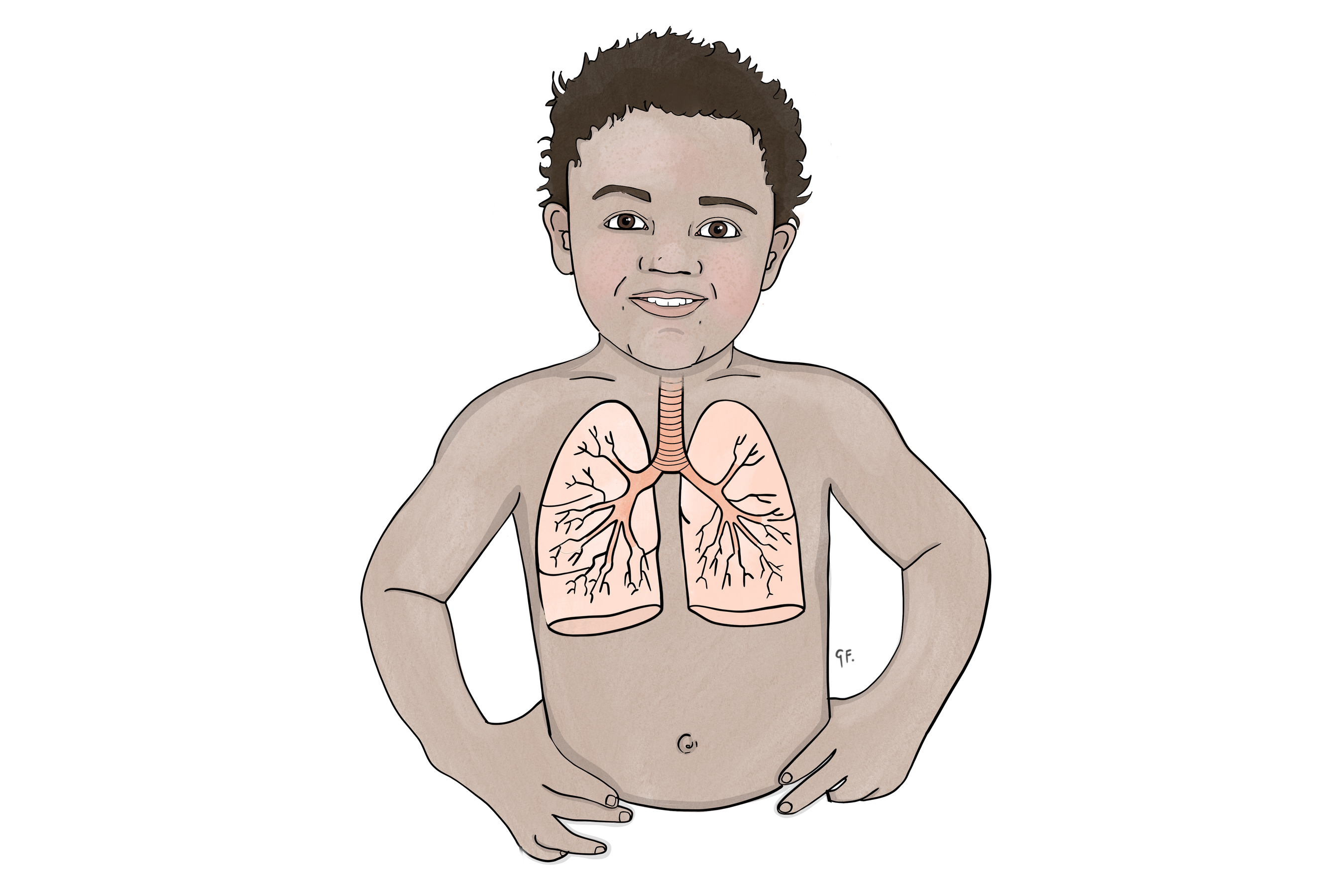 Chest, Lungs & Breathing | KidsHealth NZ